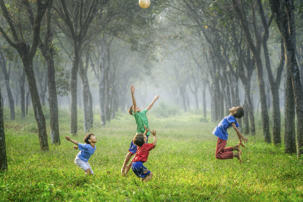Los niños aman la naturaleza y la interacción directa con ella